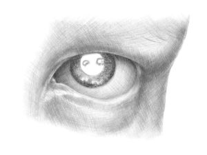 Jak narysować ludzkie oko | Kurs rysunku Artakademia | Szkoła rysunku ...