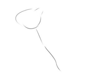 Jak narysować różę | Szkoła rysunku ARTAKADEMIA - Artakademia