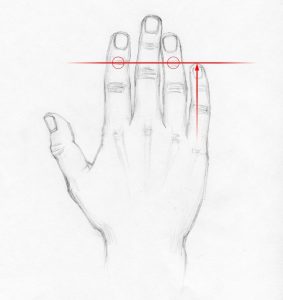 Jak narysować kiść ręki? - Artakademia