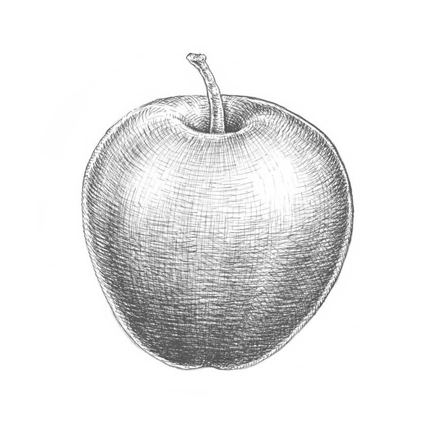 Jak rysować jabłko ? | Kurs rysunku ARTAKADEMIA