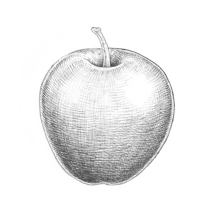 Jak rysować jabłko ? | Kurs rysunku ARTAKADEMIA