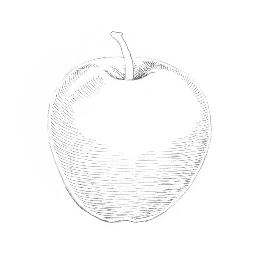 Jak rysować jabłko ? | Kurs rysunku ARTAKADEMIA