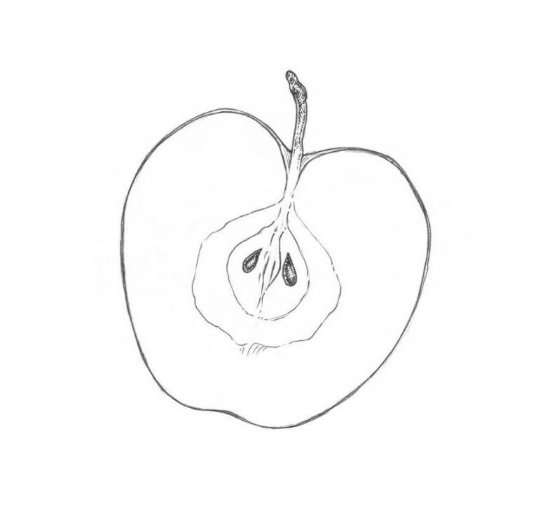 Jak rysować jabłko ? | Kurs rysunku ARTAKADEMIA